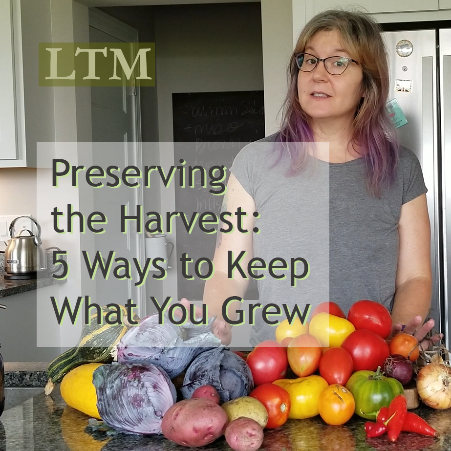 Preserving the Harvest: 5 Ways to Keep What You Grew - Living the Middle